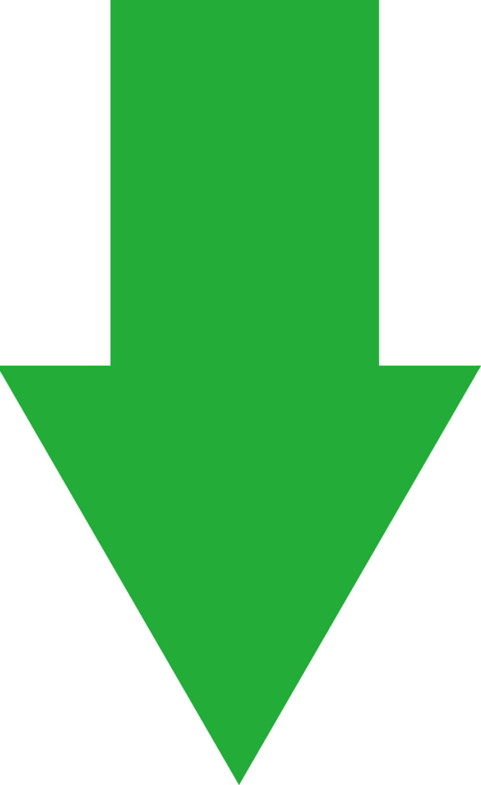 【2025】河合奈保子の現在画像は?脳出血はデマ?娘の復帰についても! | そらまめ通信